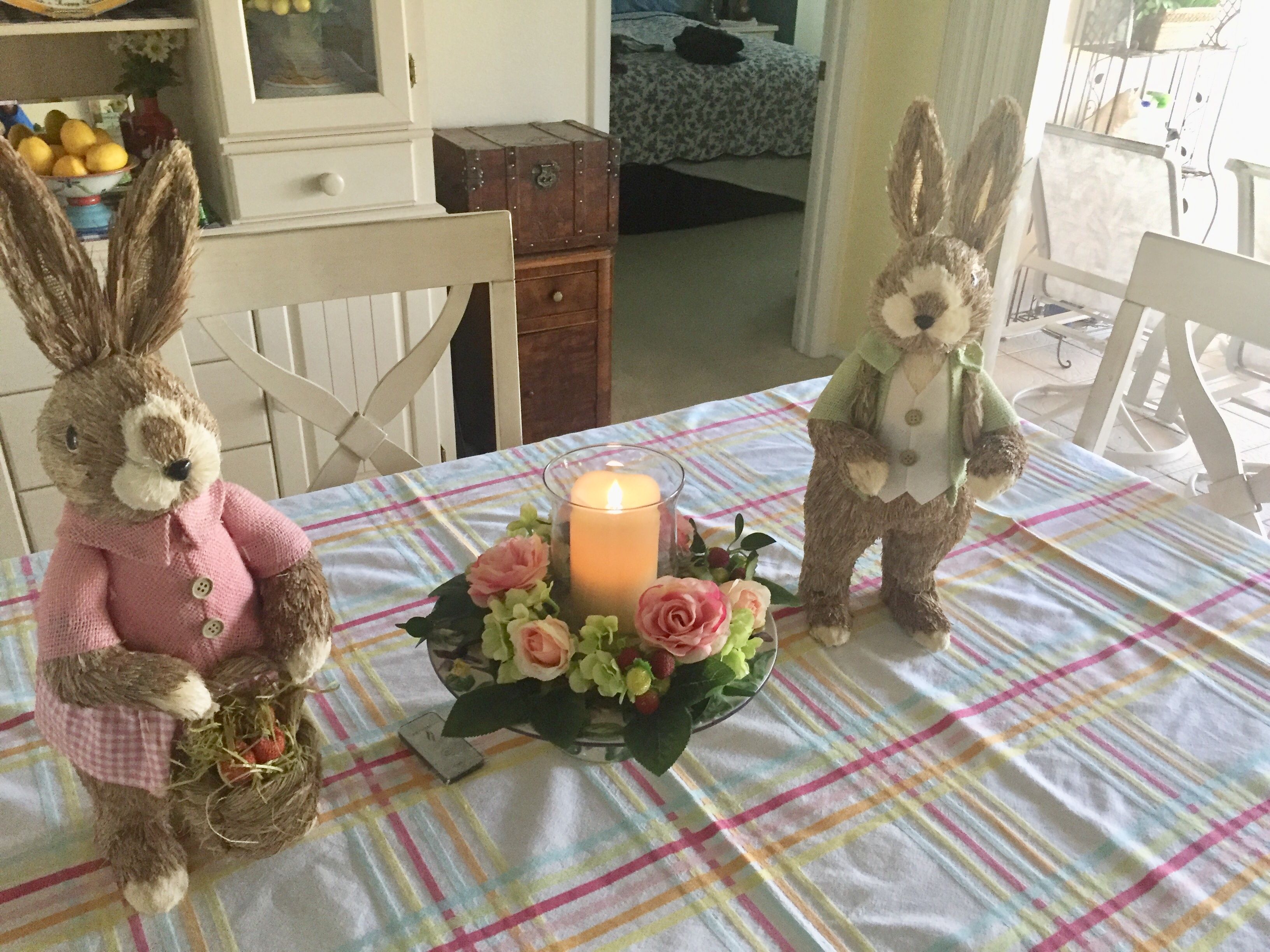 Mr Cottontail got his Mrs Cottontail today🐇🐇🐇😊... - Blogs & Forums