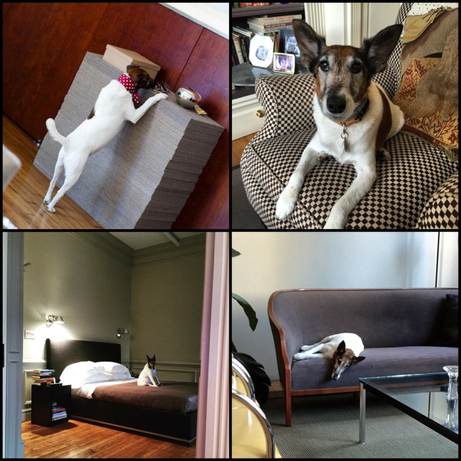 DAVID DANGLE’S LOFT IN NEW YORK CITY - Blogs & Forums