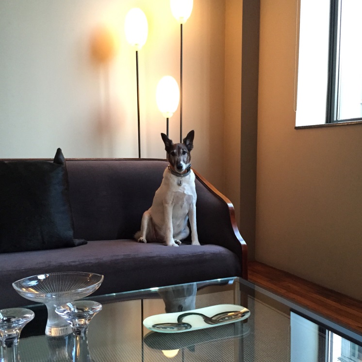 DAVID DANGLE’S LOFT IN NEW YORK CITY - Blogs & Forums