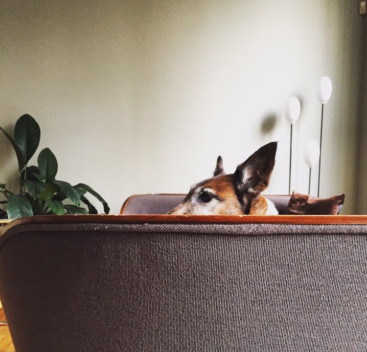 DAVID DANGLE’S EUROPEAN TREND SPOTTING - Blogs & Forums