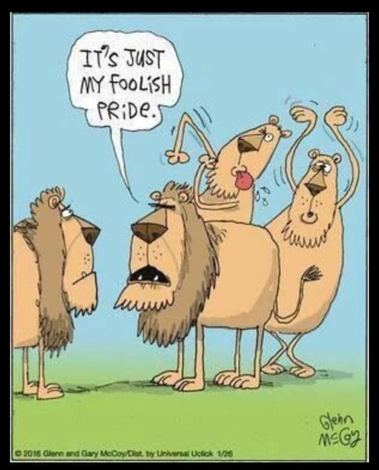 Let’s post some lighthearted, funny memes, YouTube... - Page 161 ...