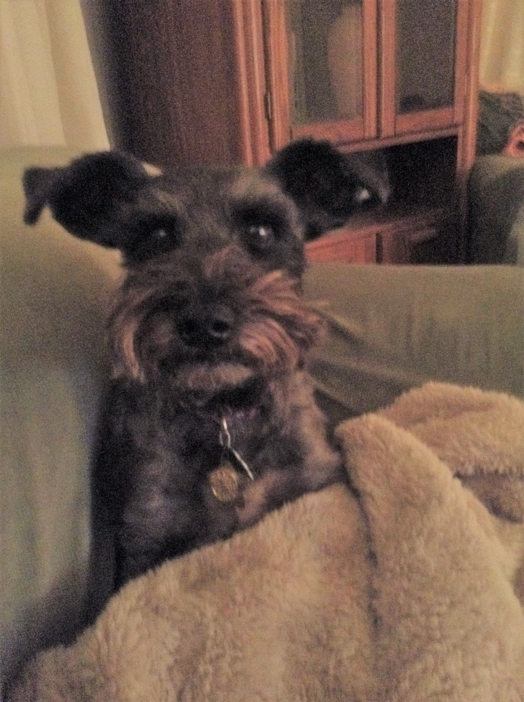 General Hospital 🏥 December 2025 - Spoilers Inclu... - Page 8 - Blogs ...