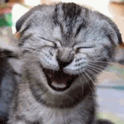 The Bee Hive -- January 2026 Edition - Page 56 - Blogs & Forums