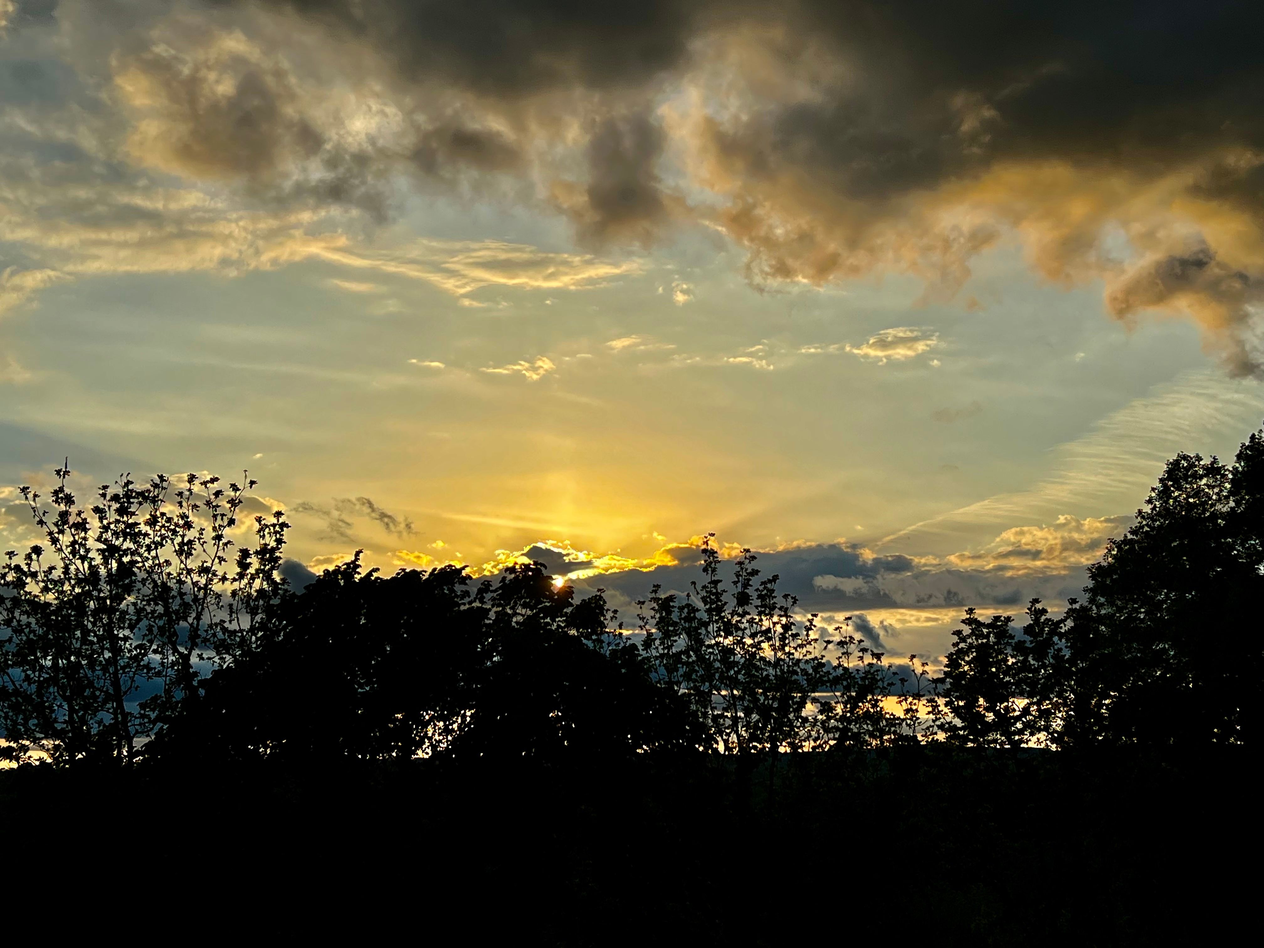 The evening sky - Blogs & Forums