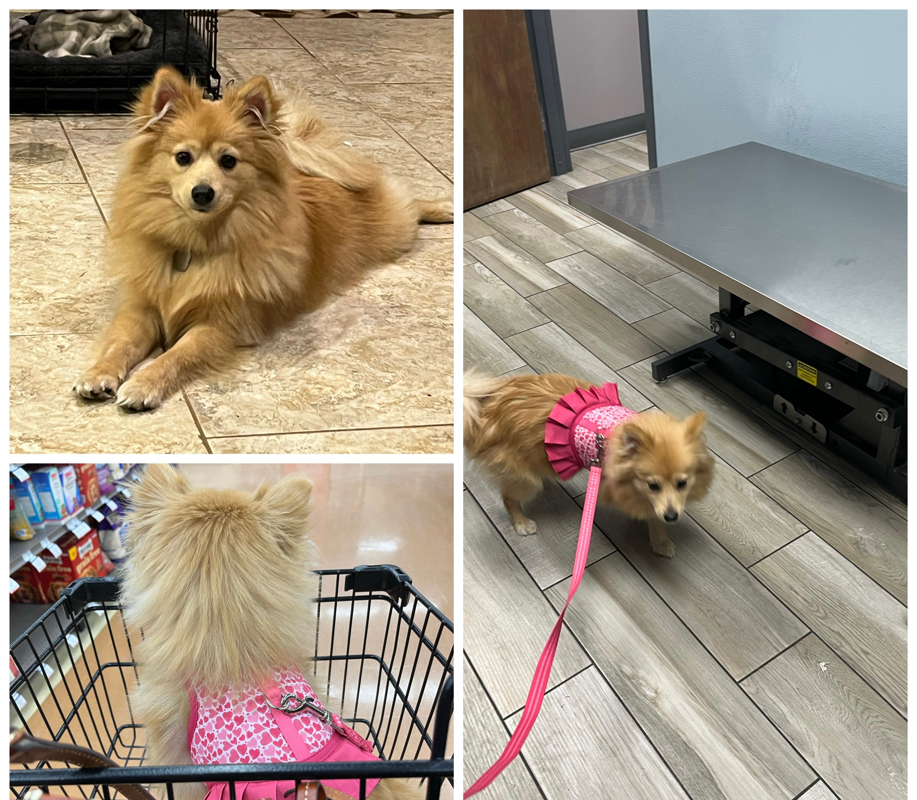 Prayers for Finley - Blogs & Forums