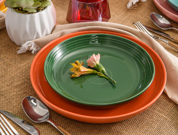 new Fiesta color for 2023 - Blogs & Forums