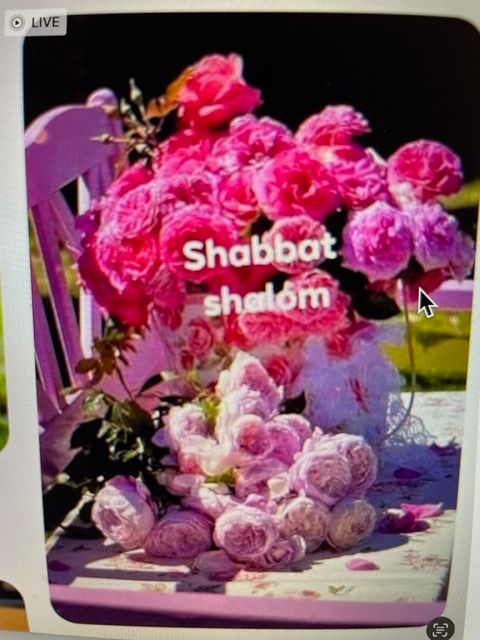 Shabbat Shalom *** March 10 - Blogs & Forums