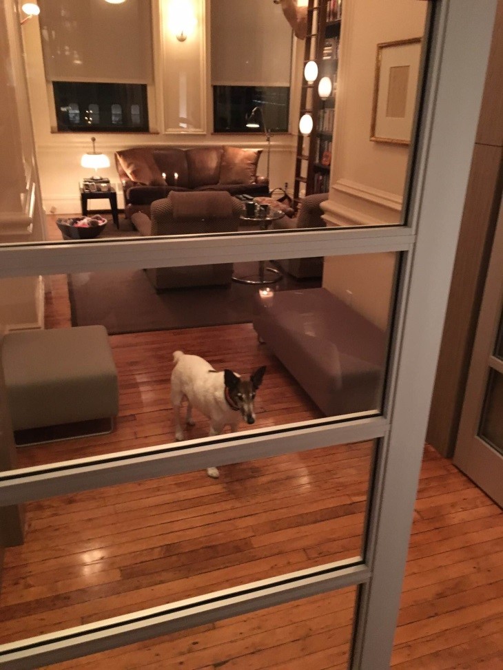 DAVID DANGLE’S ANNUAL “FAMILY DINNER” IN NEW YORK CITY - Blogs & Forums