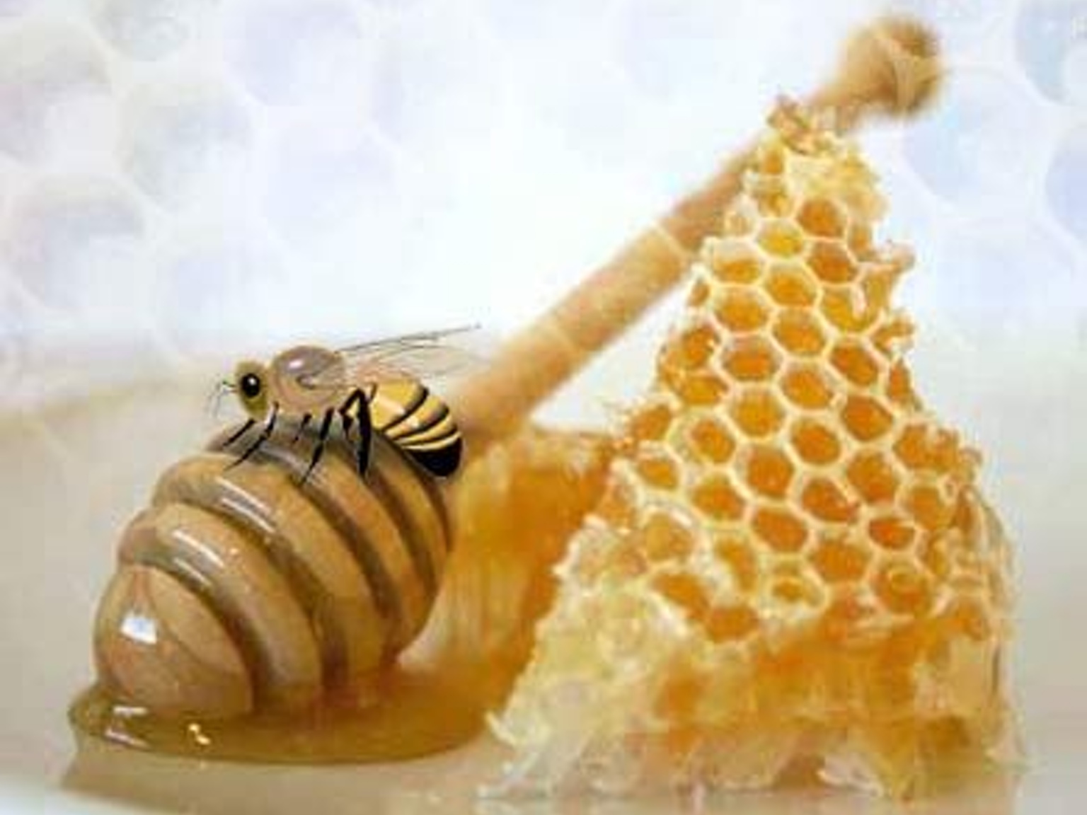 The KitchenAid family sure is sweet! - Blogs & Forums