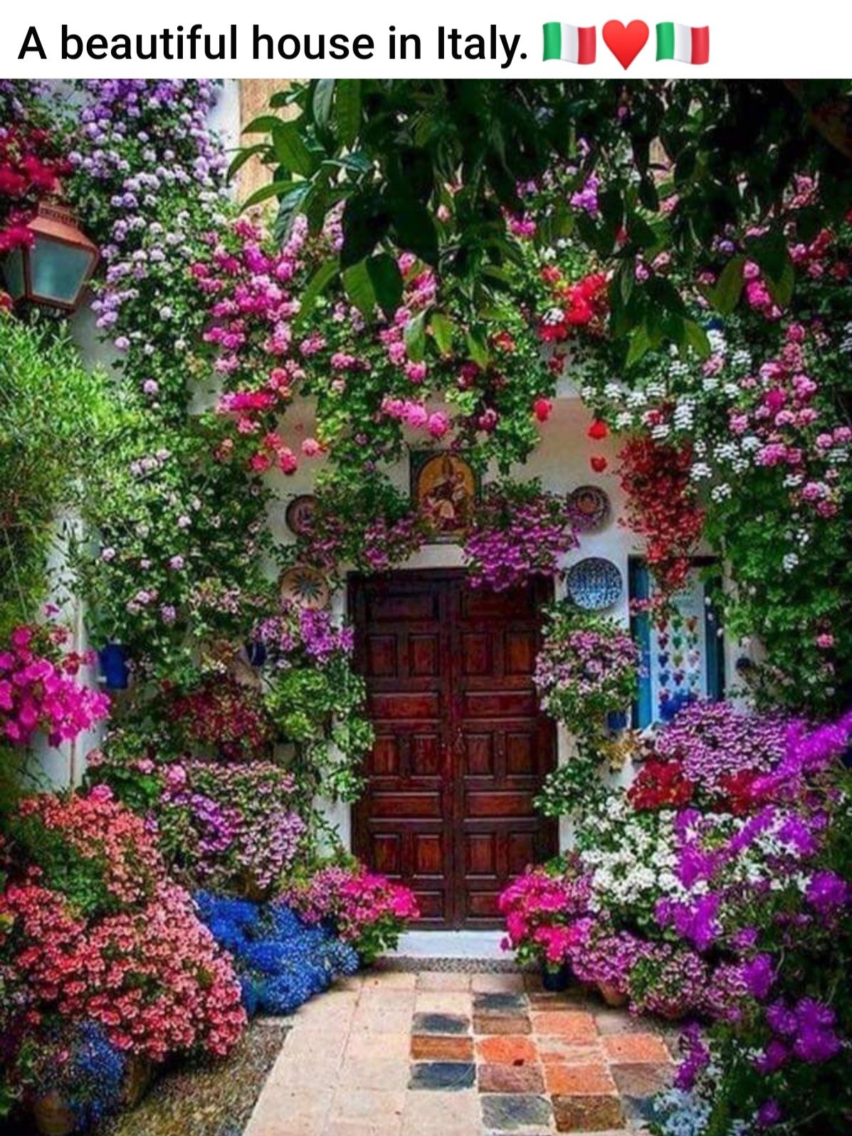 Beautiful Garden - Blogs & Forums