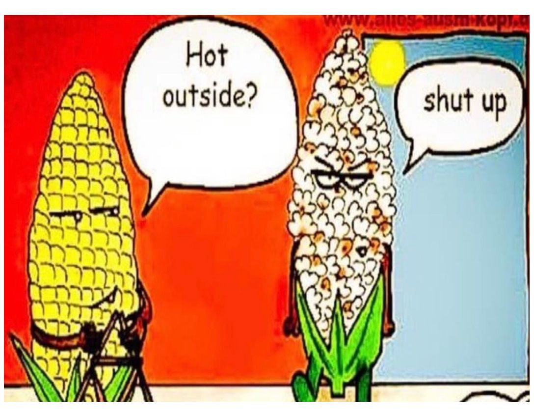 ANOTHER HOT ONE........ - Blogs & Forums