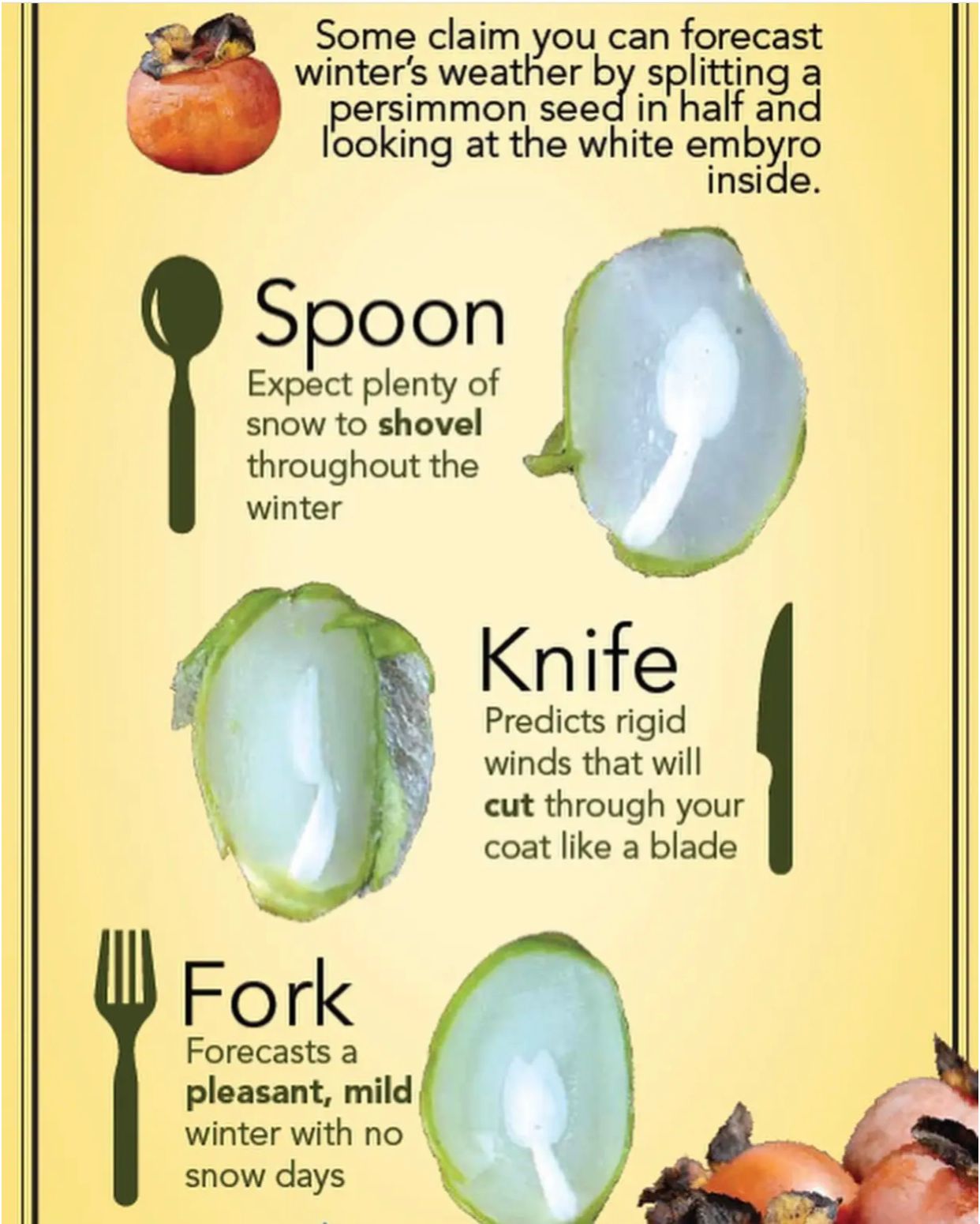 A knife ,a Fork and a Spoon - Blogs & Forums