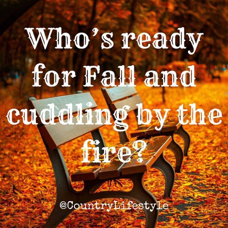 Grate-Fall for Autumn - Page 139 - Blogs & Forums