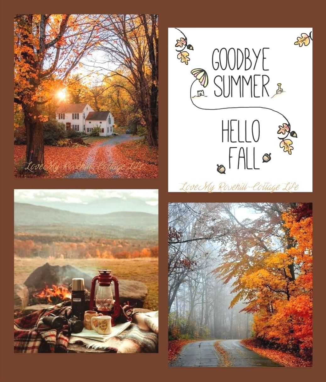 Grate-Fall for Autumn - Page 240 - Blogs & Forums
