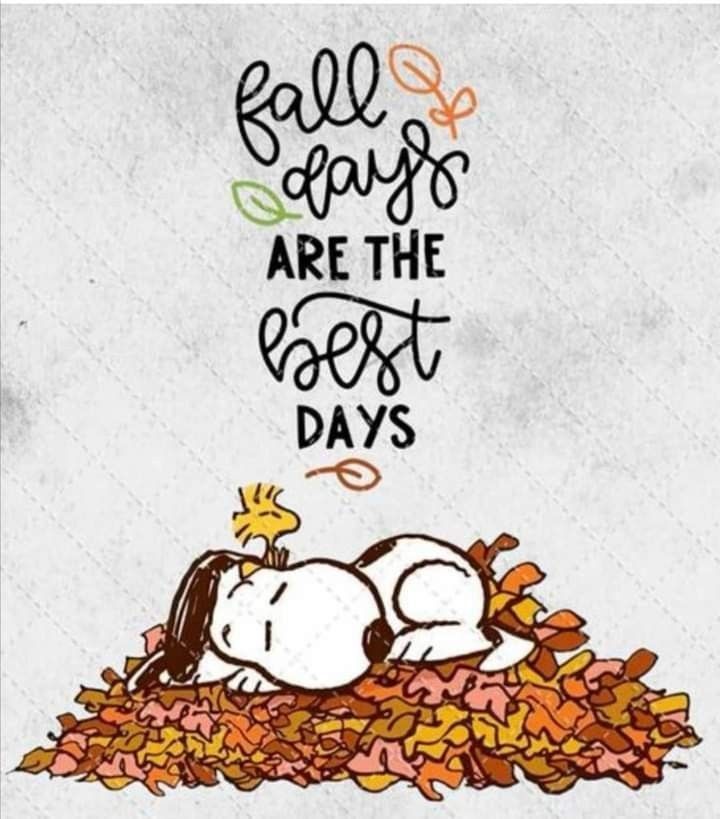 Grate-Fall for Autumn - Page 130 - Blogs & Forums