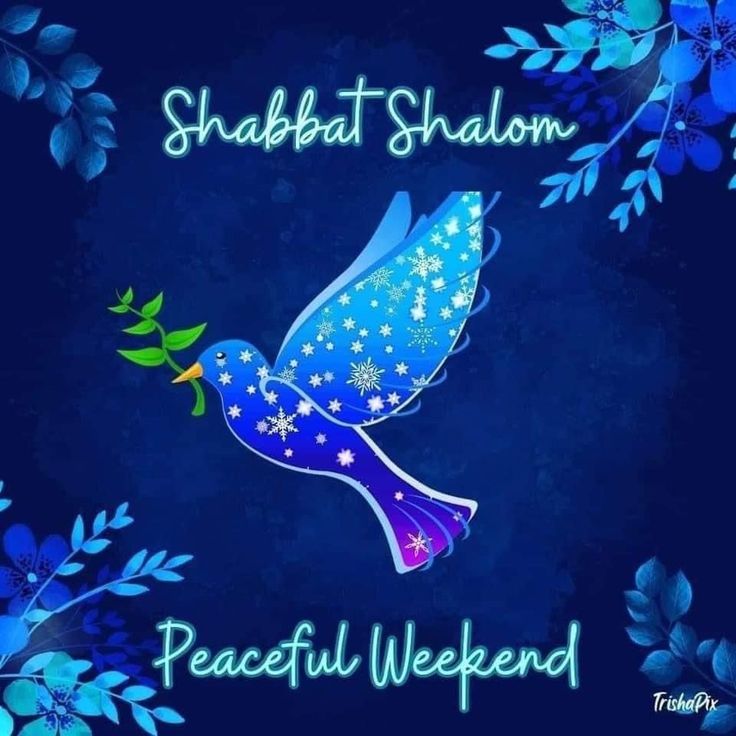 SHABBAT SHALOM FRIDAY DEC. 8TH***** - Blogs & Forums