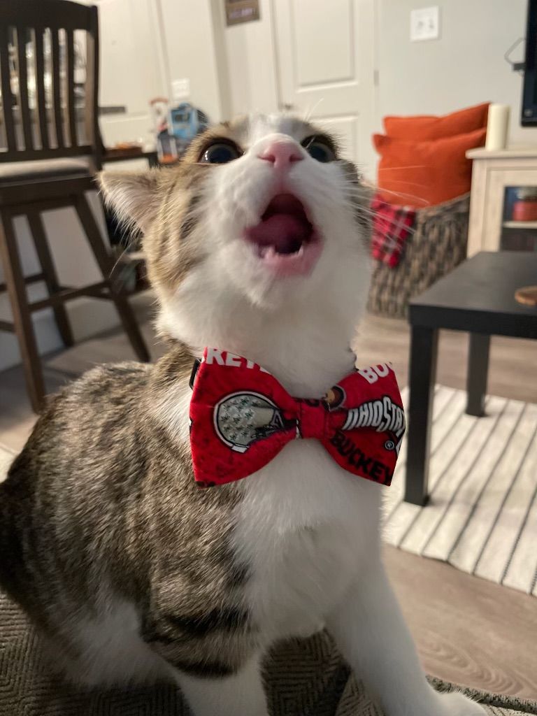 Re: @Preds - Page 4,767 - Blogs & Forums