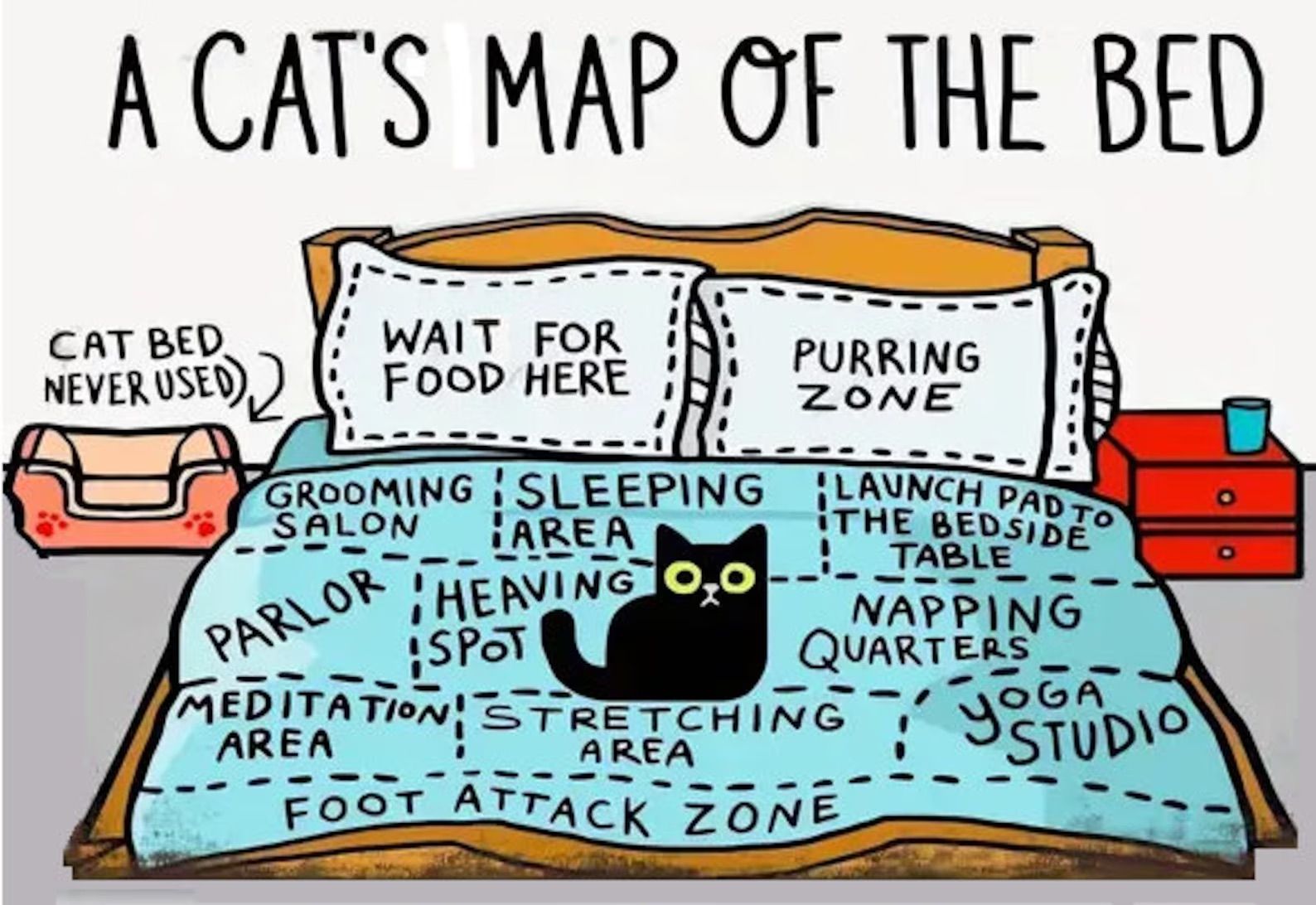 A Cat’s Map of the Bed - Page 2 - Blogs & Forums