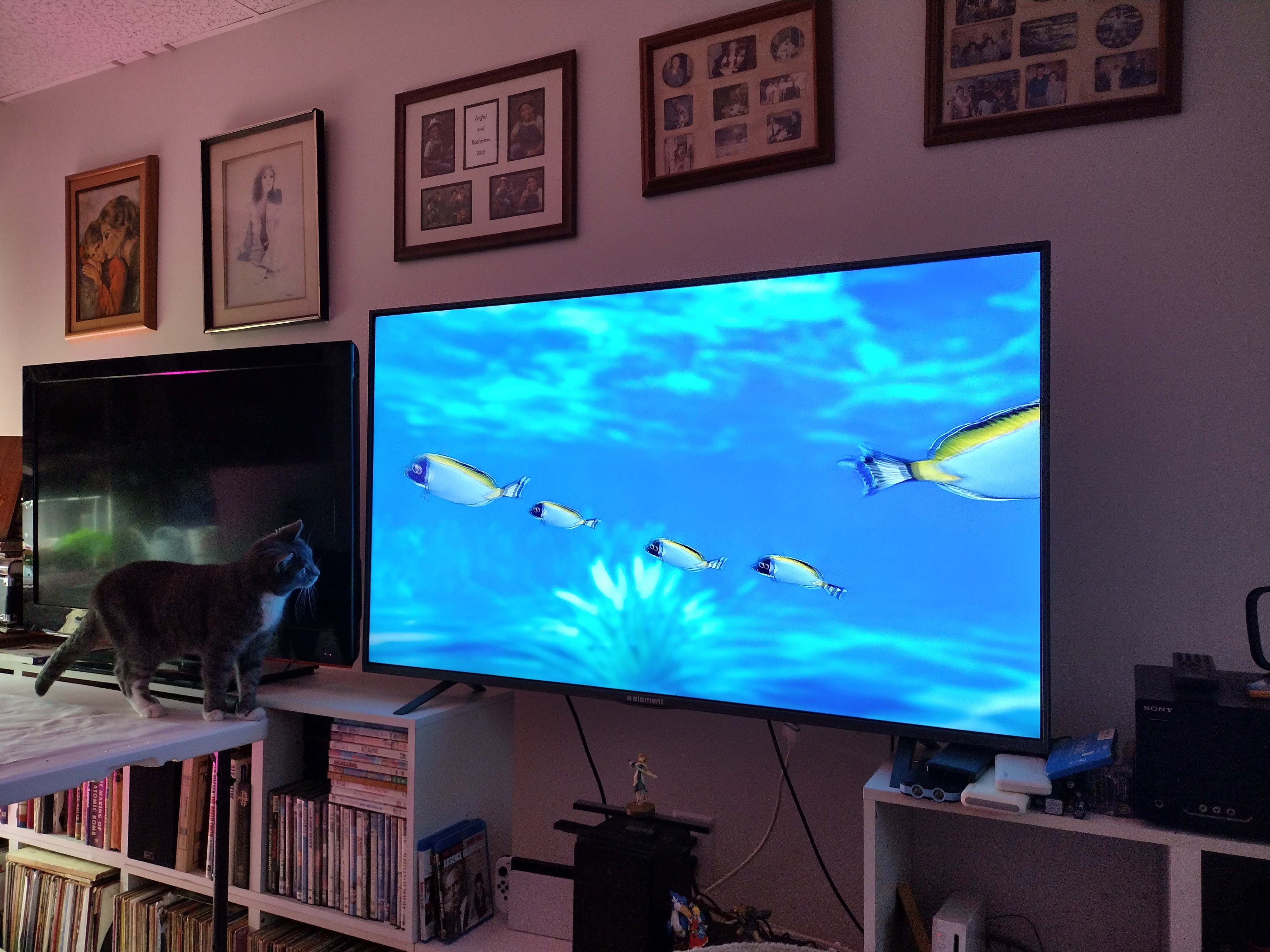 NFL News and Notes for March 2024!!! - Page 4 - Blogs & Forums