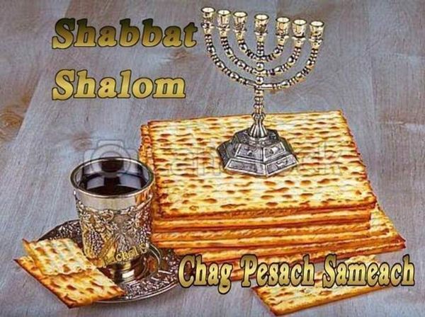 SHABBAT SHALOM APRIL 19TH**** - Blogs & Forums