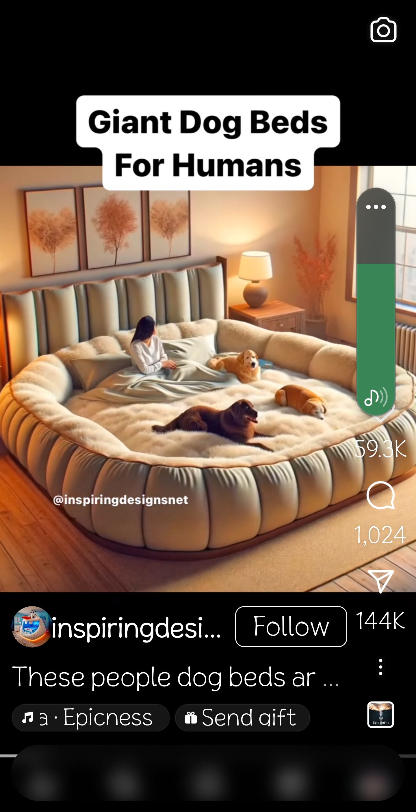 Dog beds for humans - Blogs & Forums