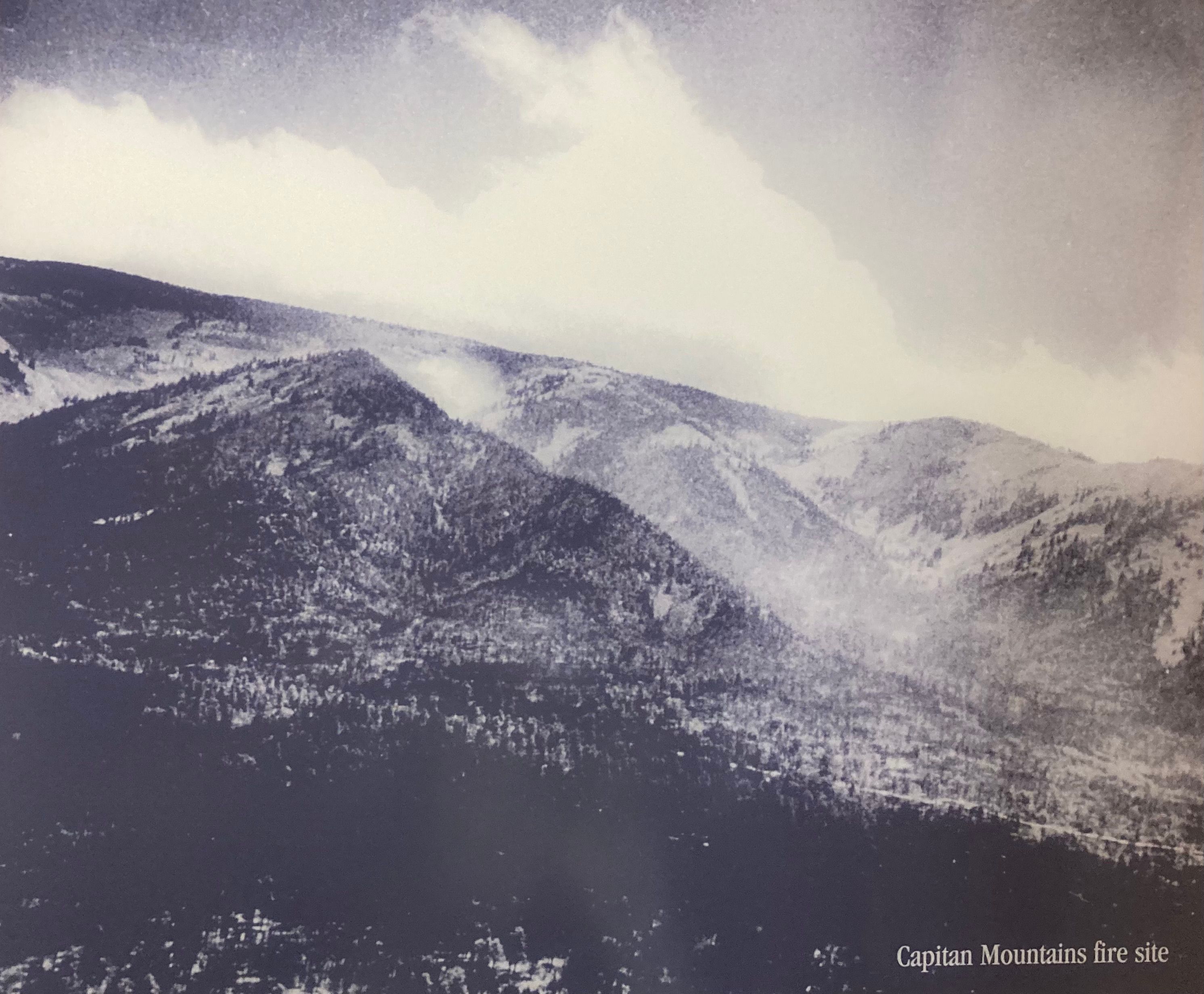 Smokey Bear is 80 - Blogs & Forums