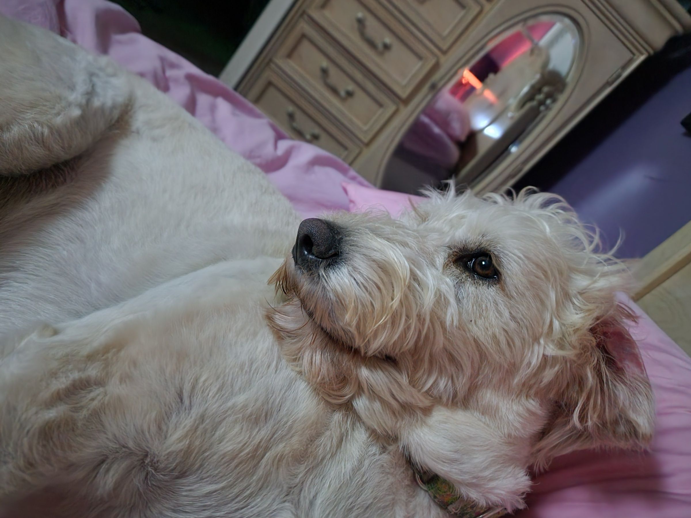 She loves to watch TV - Blogs & Forums