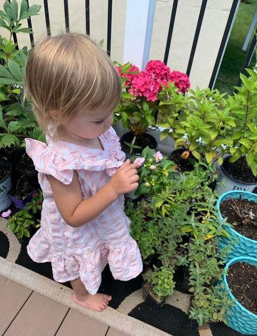 Mary Beth Roe Announcement - Page 7 - Blogs & Forums