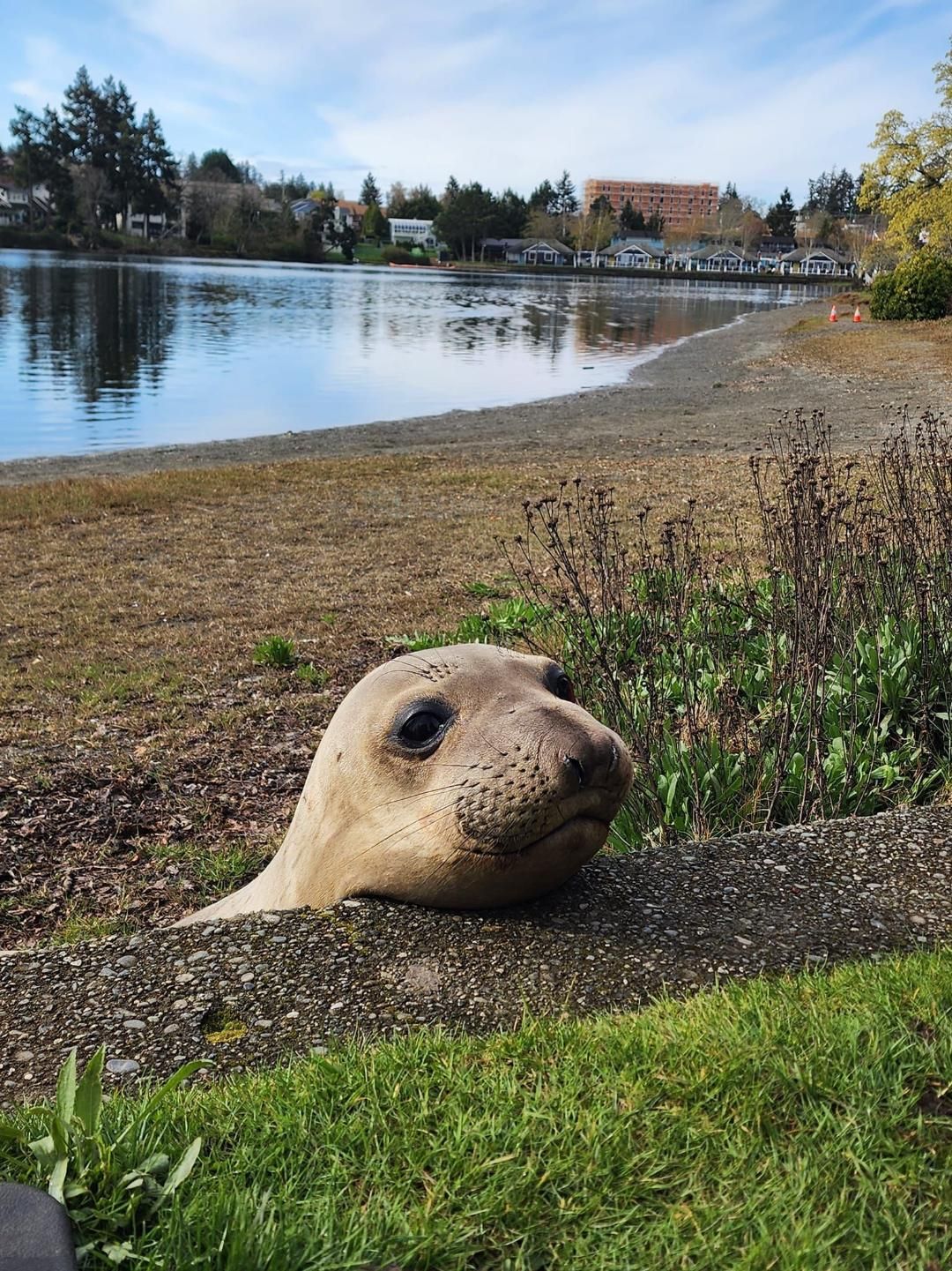 S'more Summer Fun - Page 93 - Blogs & Forums