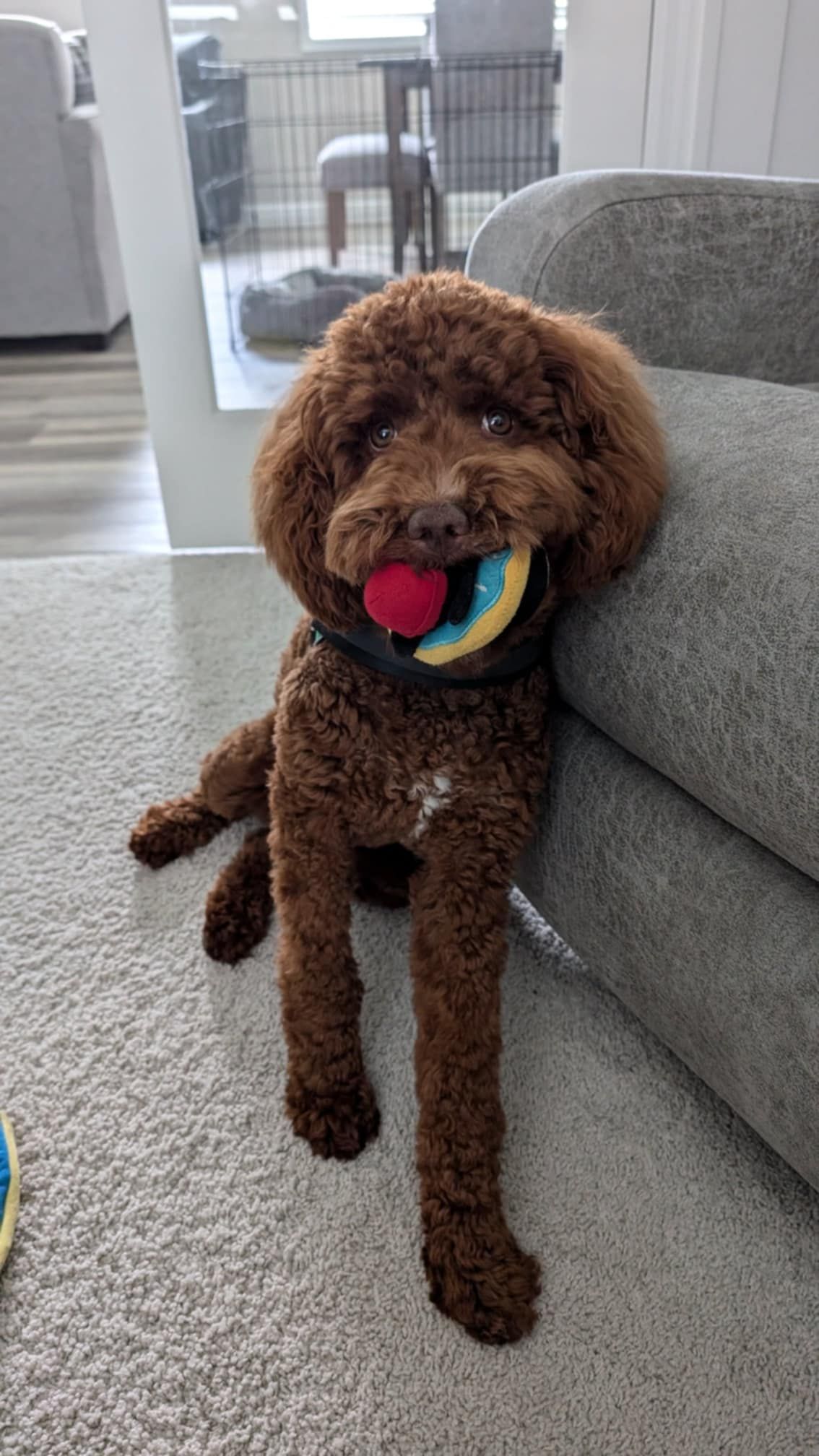 S'more Summer Fun - Page 93 - Blogs & Forums