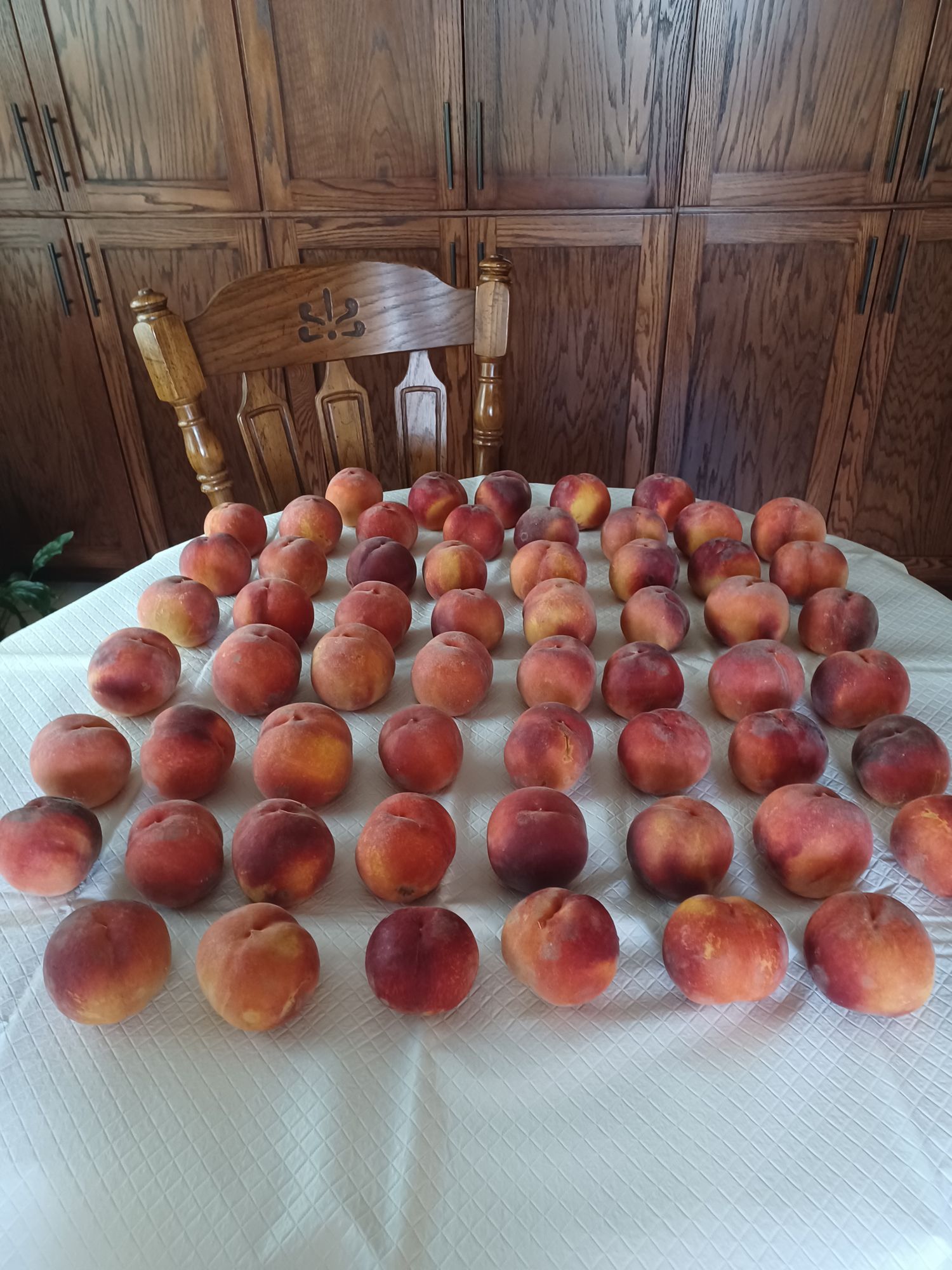 Colorado Peaches - Page 2 - Blogs & Forums