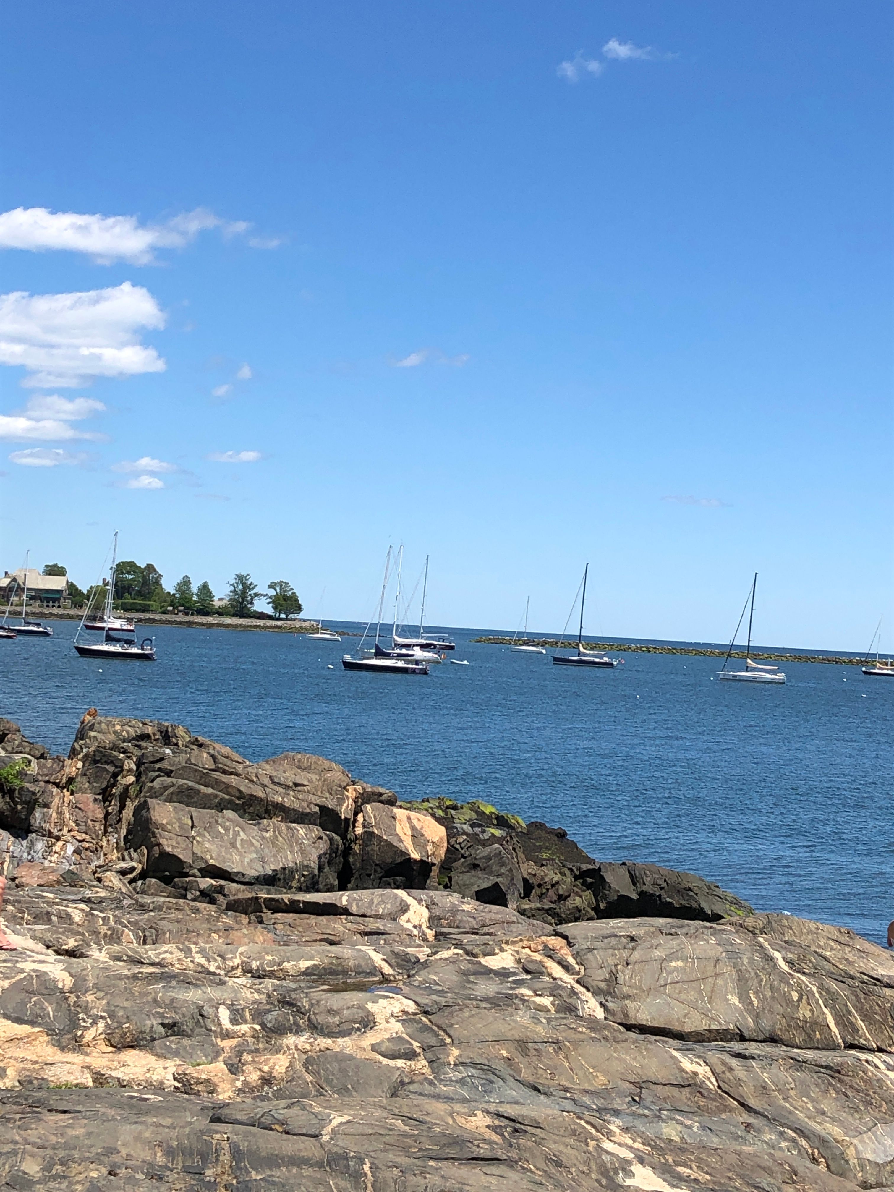 General Hospital 🏥 December 2025 - Spoilers Inclu... - Page 2 - Blogs & Forums