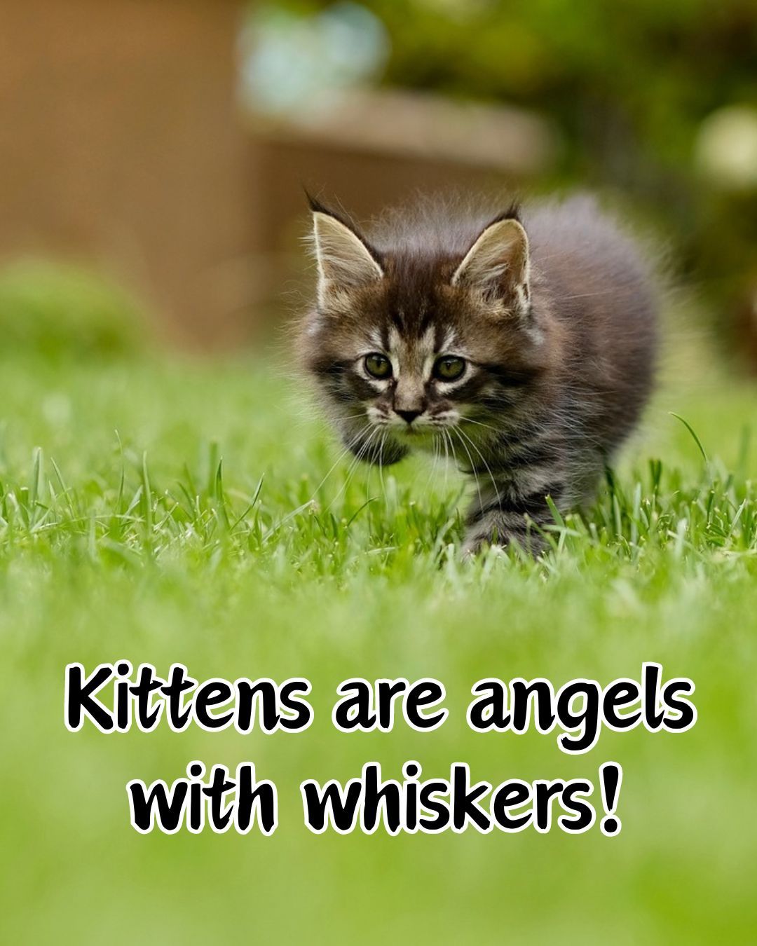 As the Leaves Turn - Welcome Autumn - Page 253 - Blogs & Forums