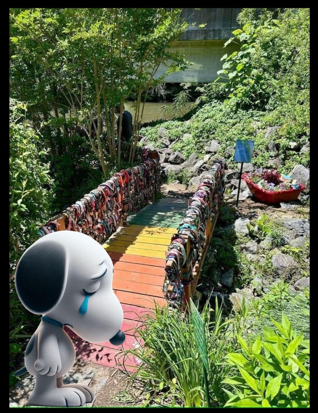 Rainbow Bridge - Blogs & Forums