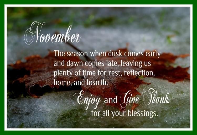 Re: Positive Thoughts For November 2024 - Page 5 - Blogs & Forums