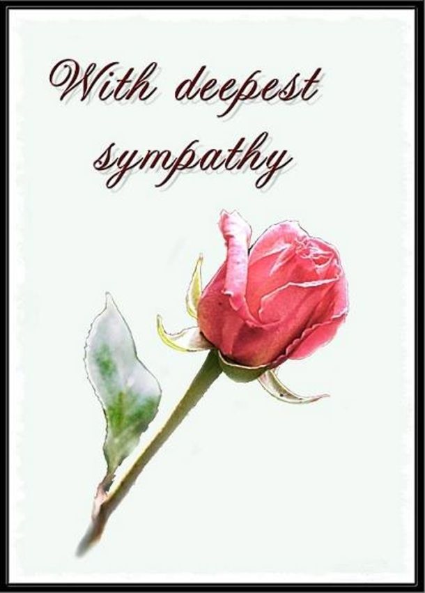 Re: Bless All of Your Hearts… - Blogs & Forums