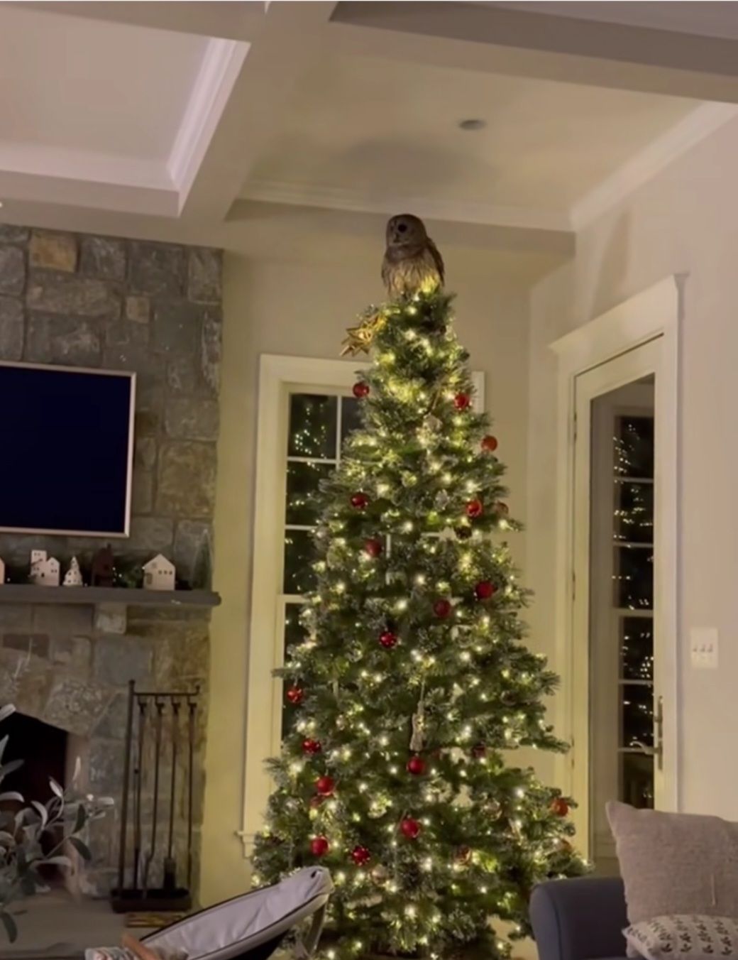 Special Tree Topper - Blogs & Forums