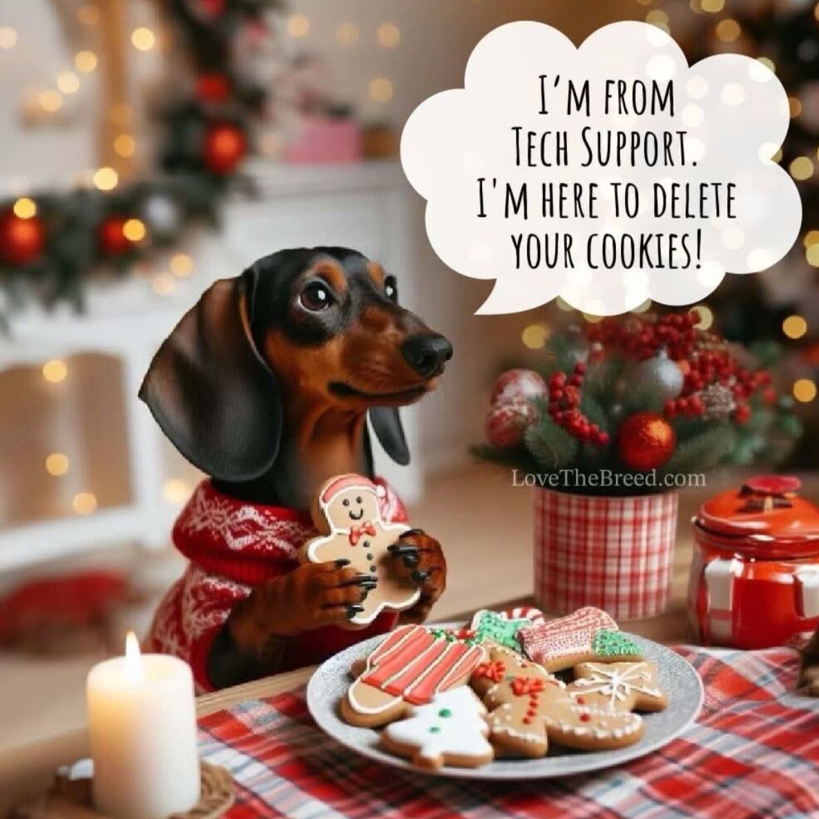 Tech Support Assistance - Blogs & Forums