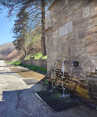 Do Yo Remember? - Blogs & Forums