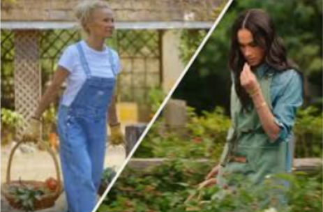 With Love, Meghan - Page 27 - Blogs & Forums