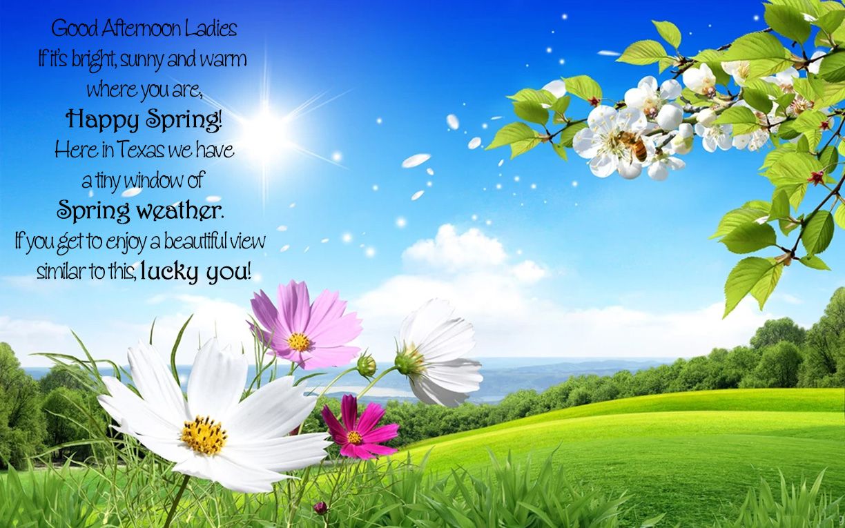 Happy Spring (yes, I know it's not spring) - Page 3 - Blogs & Forums