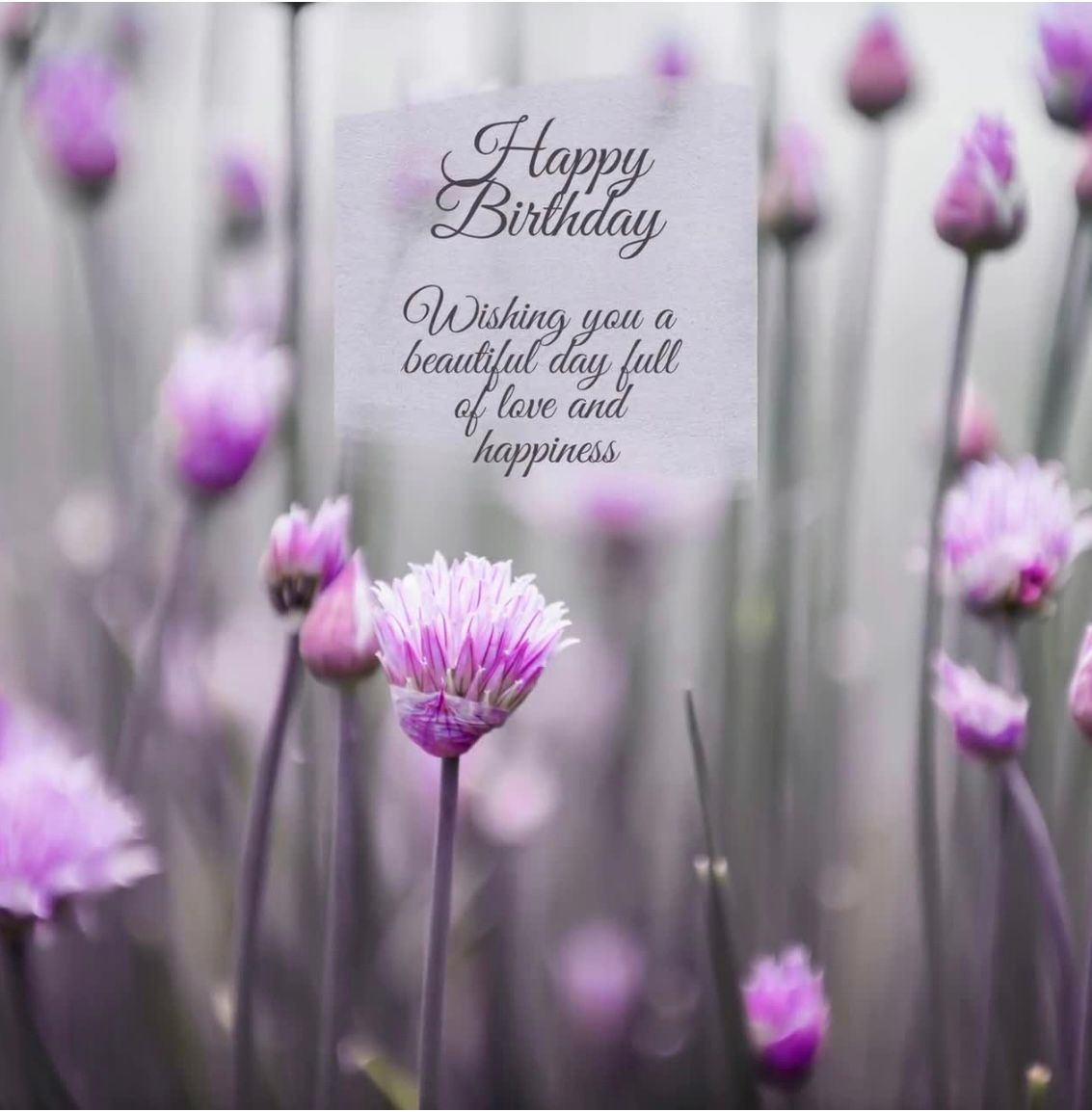 Besides income tax day it is also something else - Page 2 - Blogs & Forums