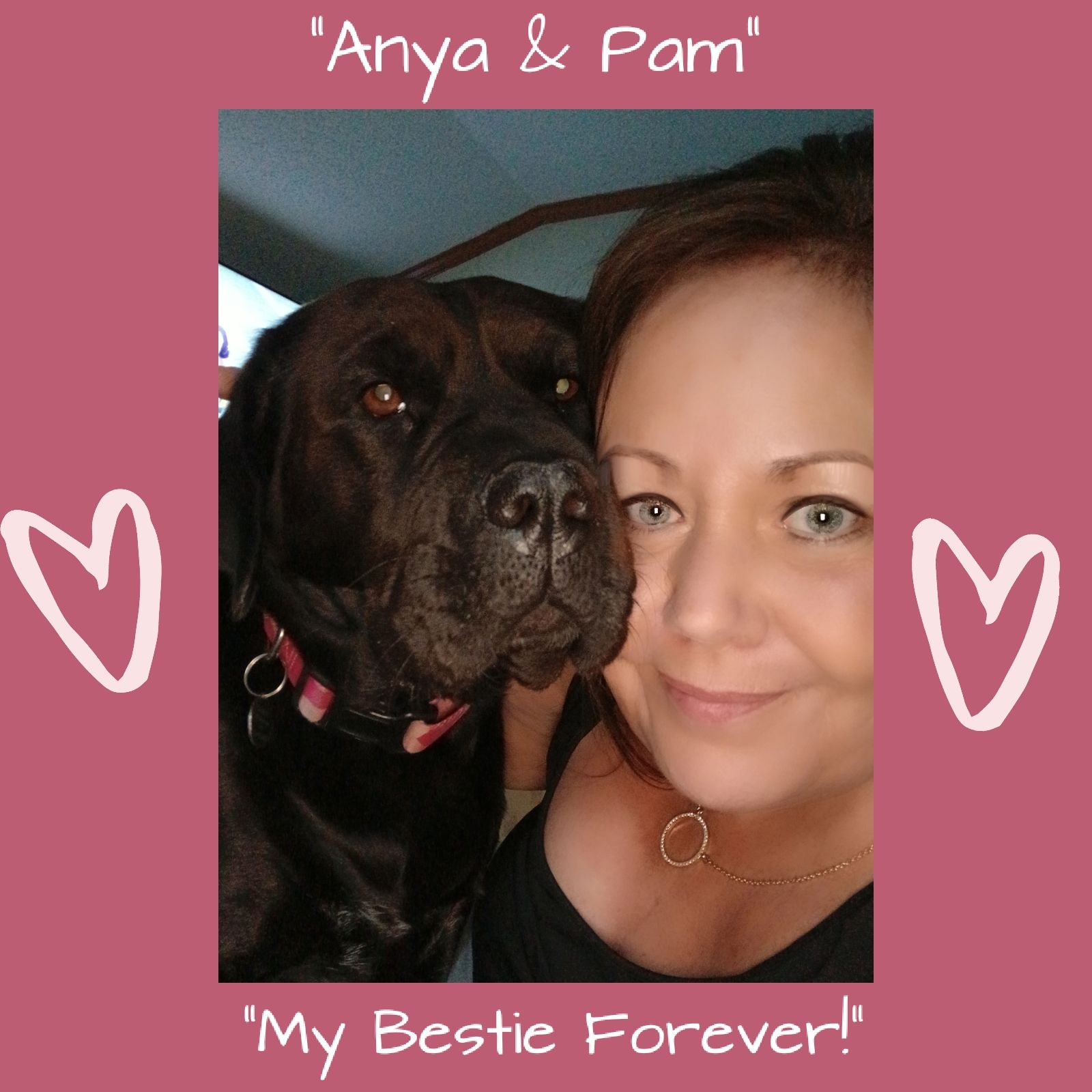 Moms and Dogs - Blogs & Forums