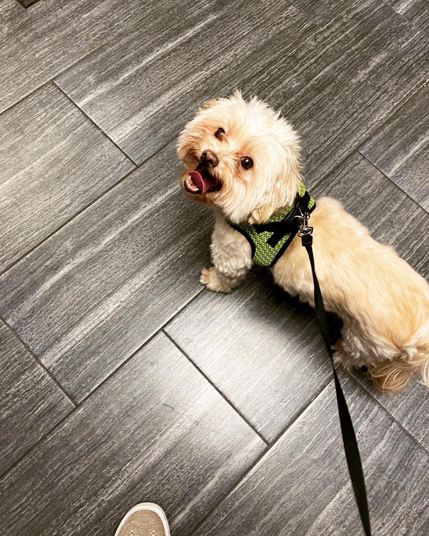 HEAD COUNT - Page 2 - Blogs & Forums