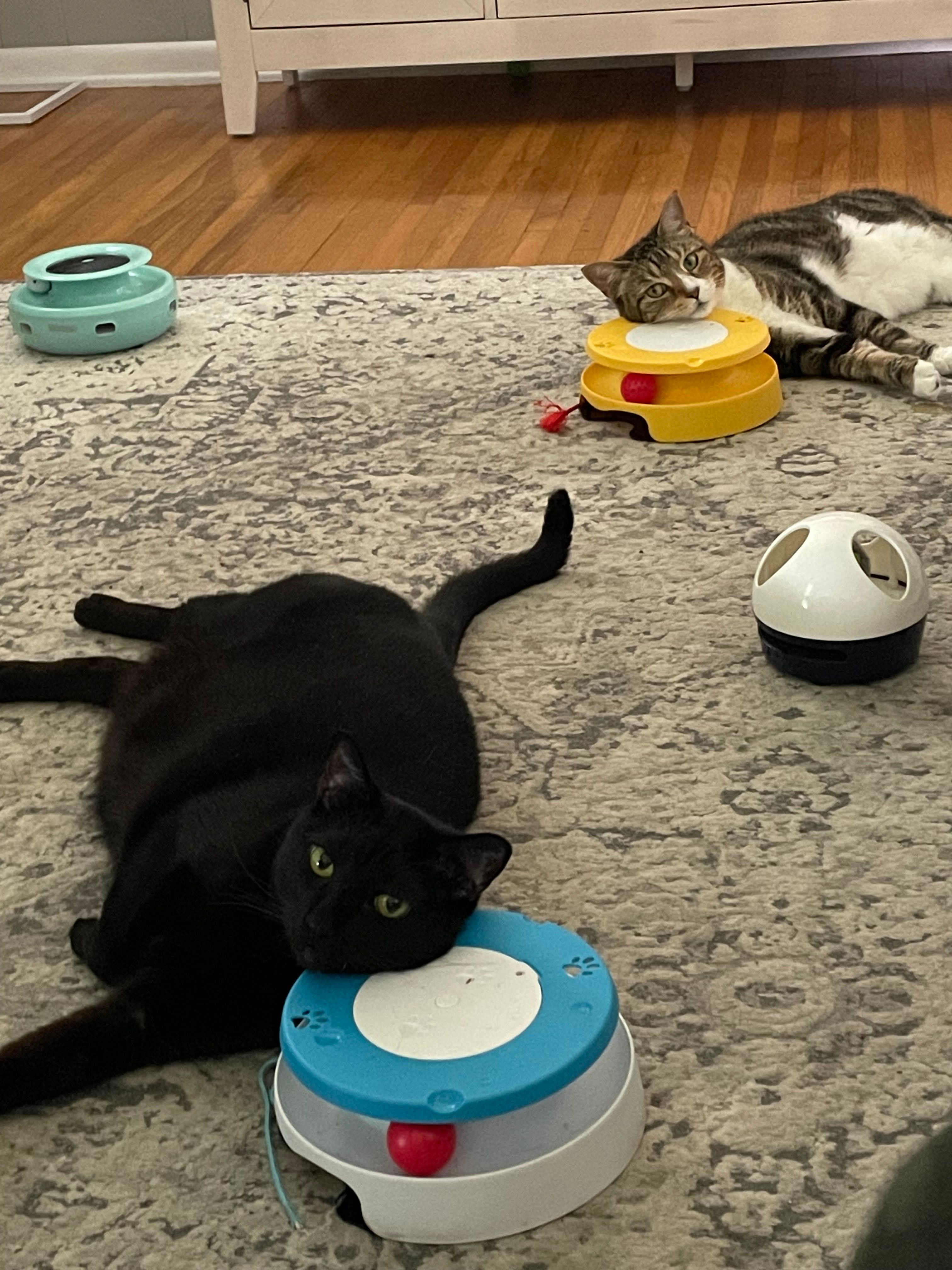 HEAD COUNT - Page 2 - Blogs & Forums