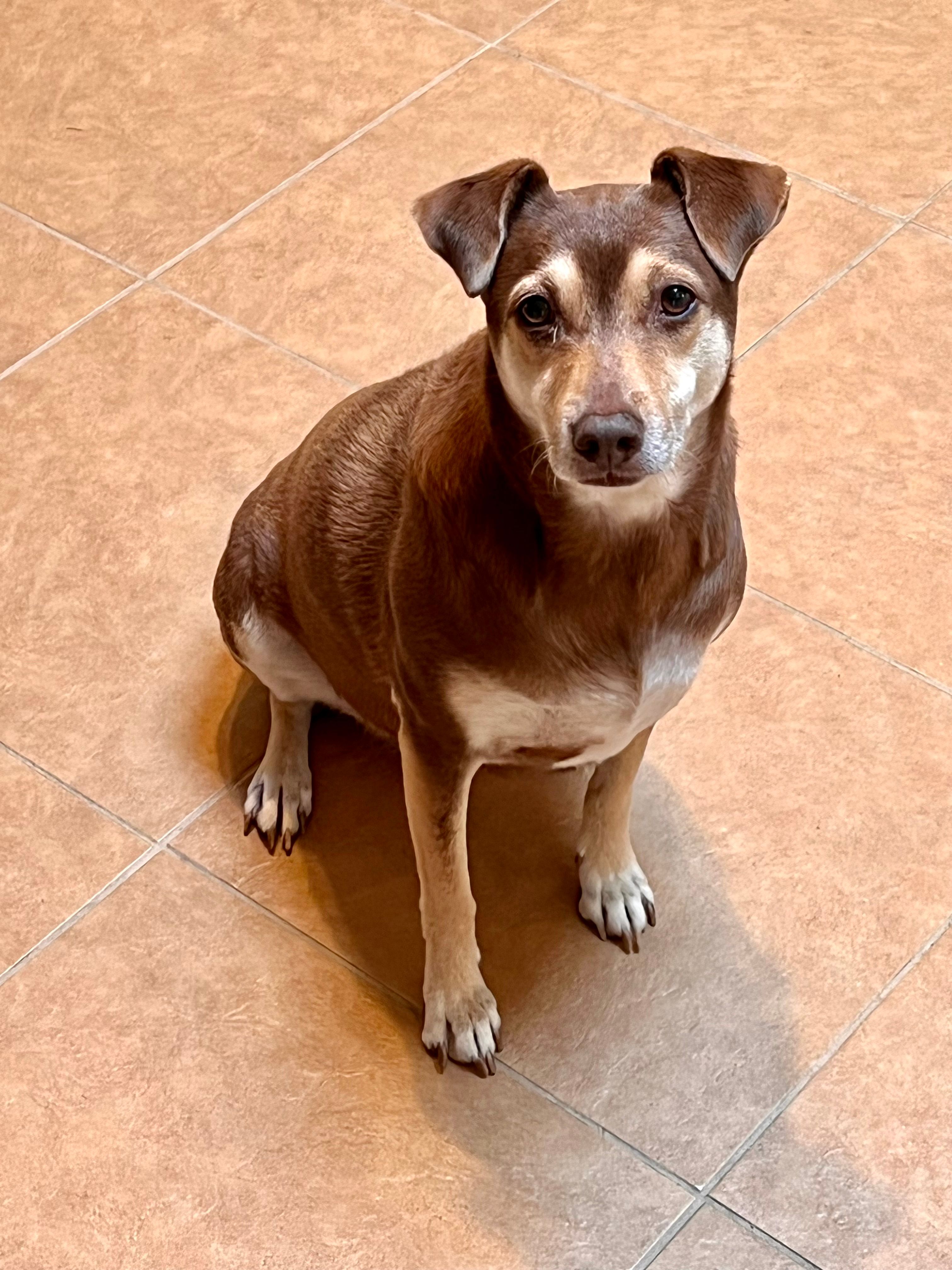 HEAD COUNT - Page 3 - Blogs & Forums