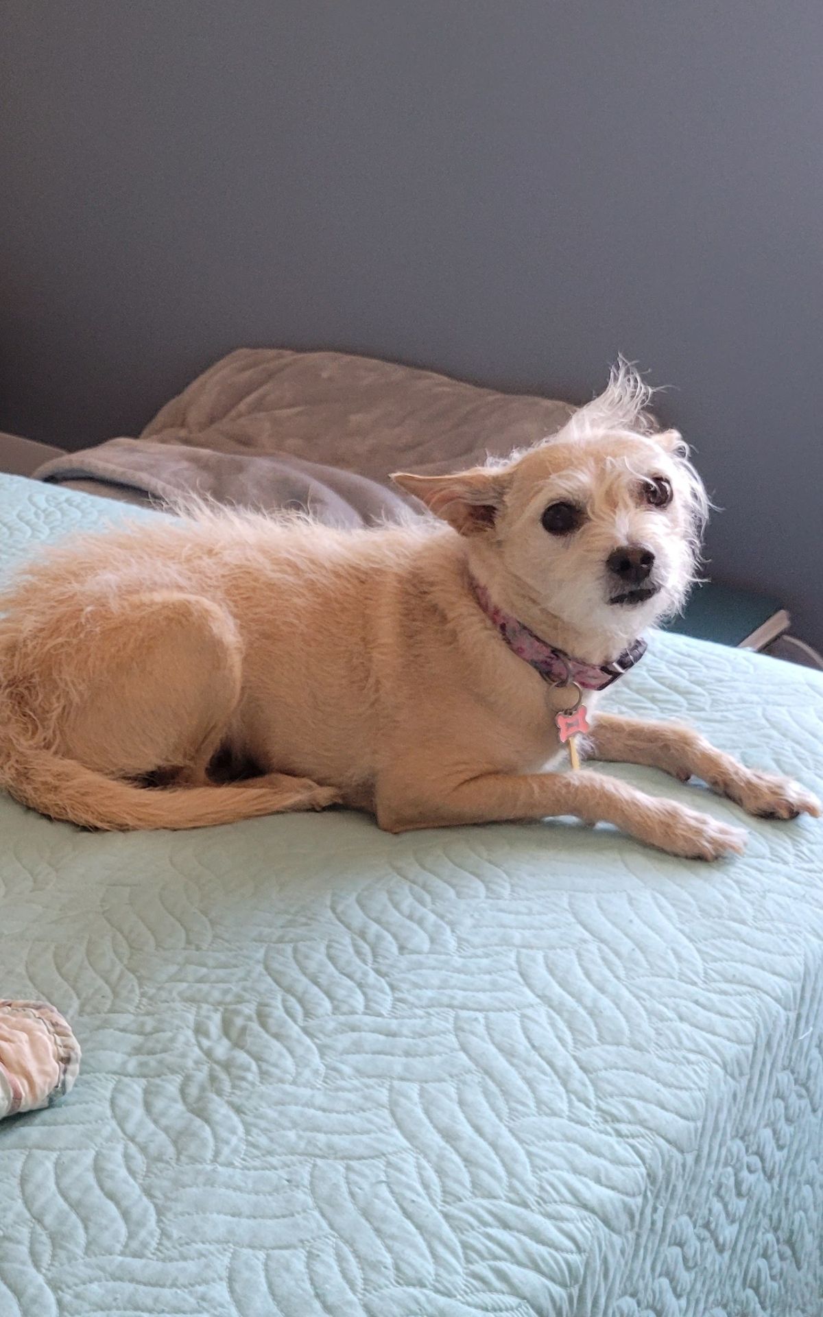 HEAD COUNT - Page 4 - Blogs & Forums