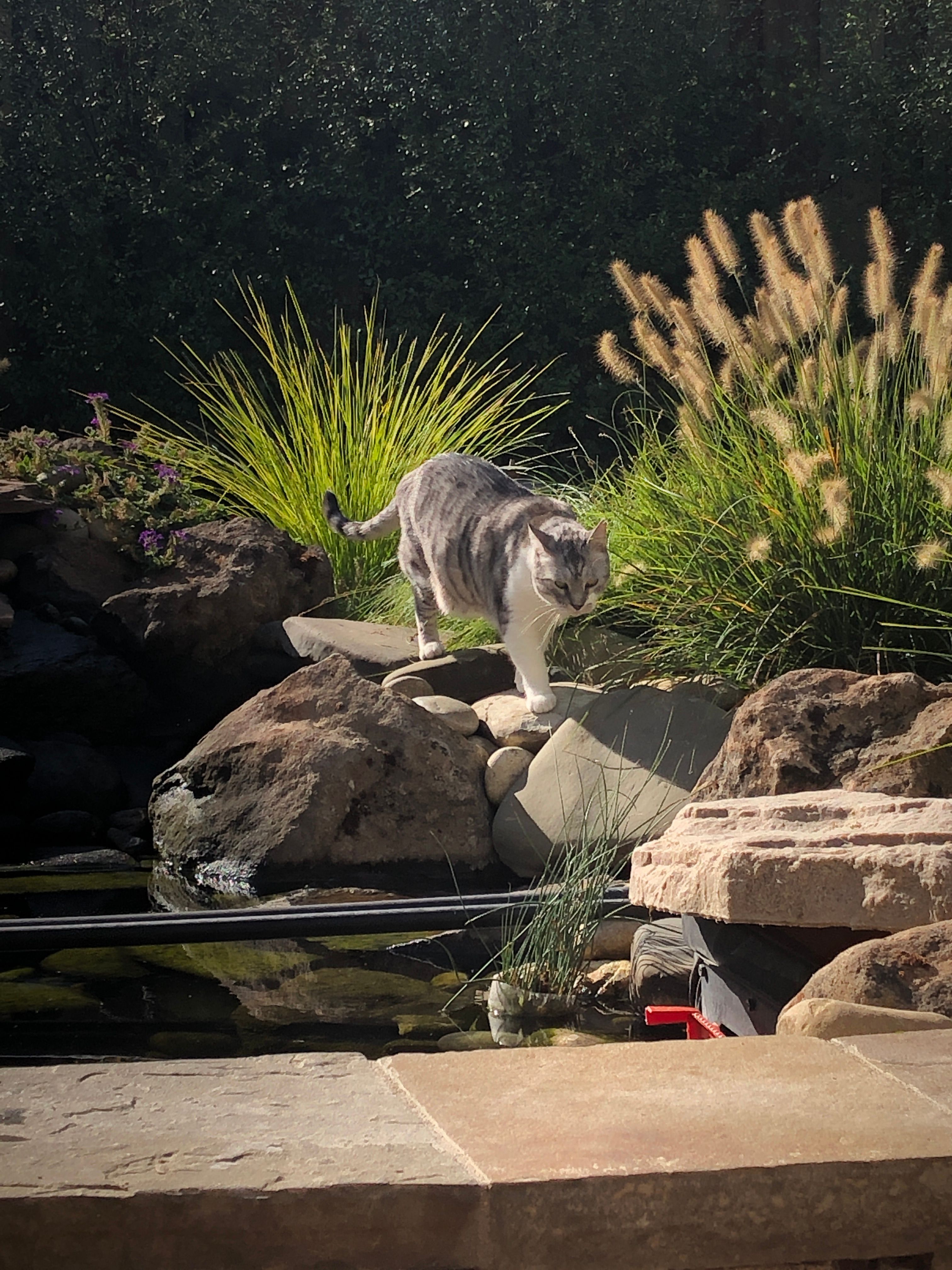 HEAD COUNT - Page 2 - Blogs & Forums