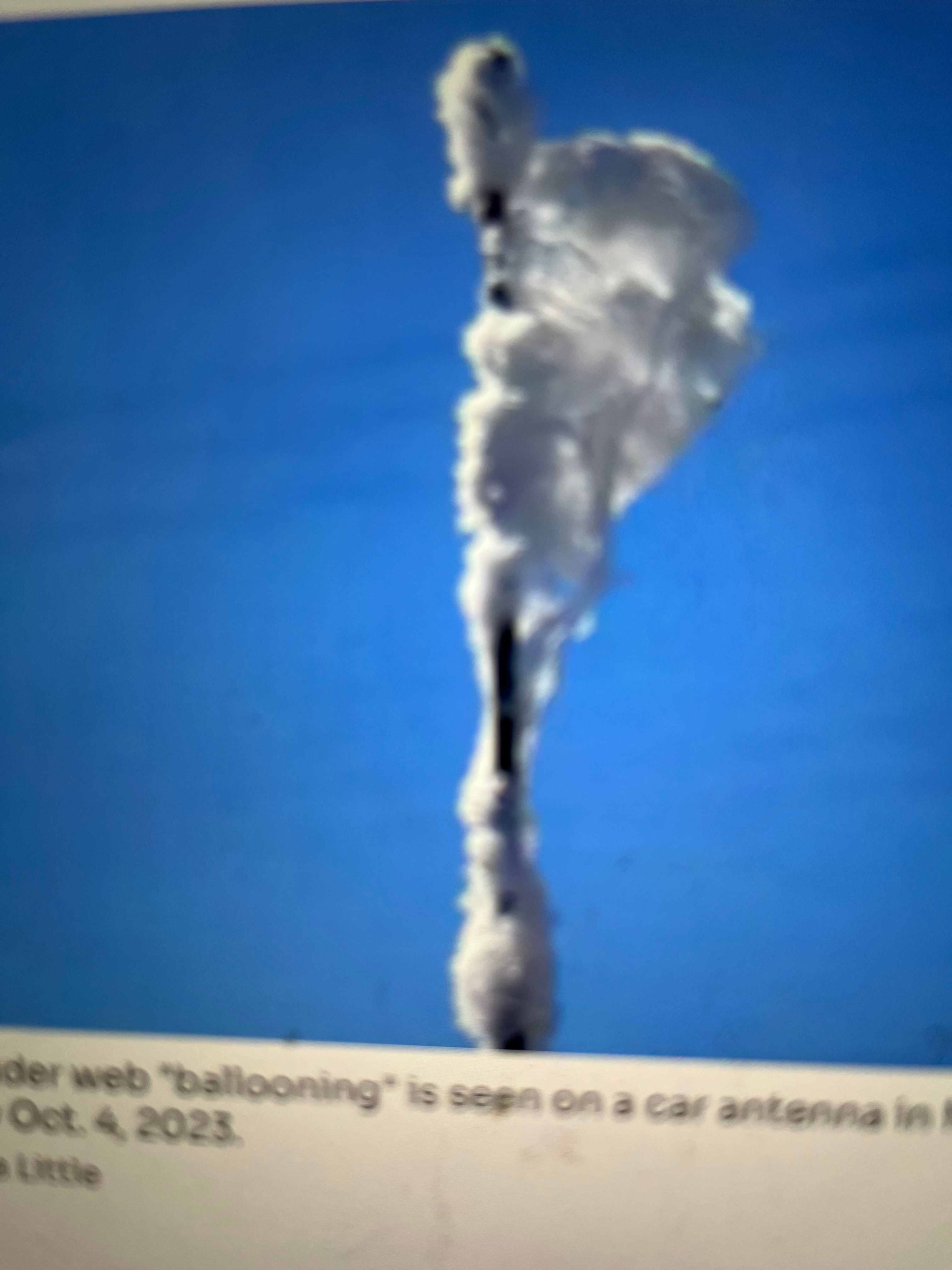 Floridians, Start Your Dust Cloths - Page 2 - Blogs & Forums