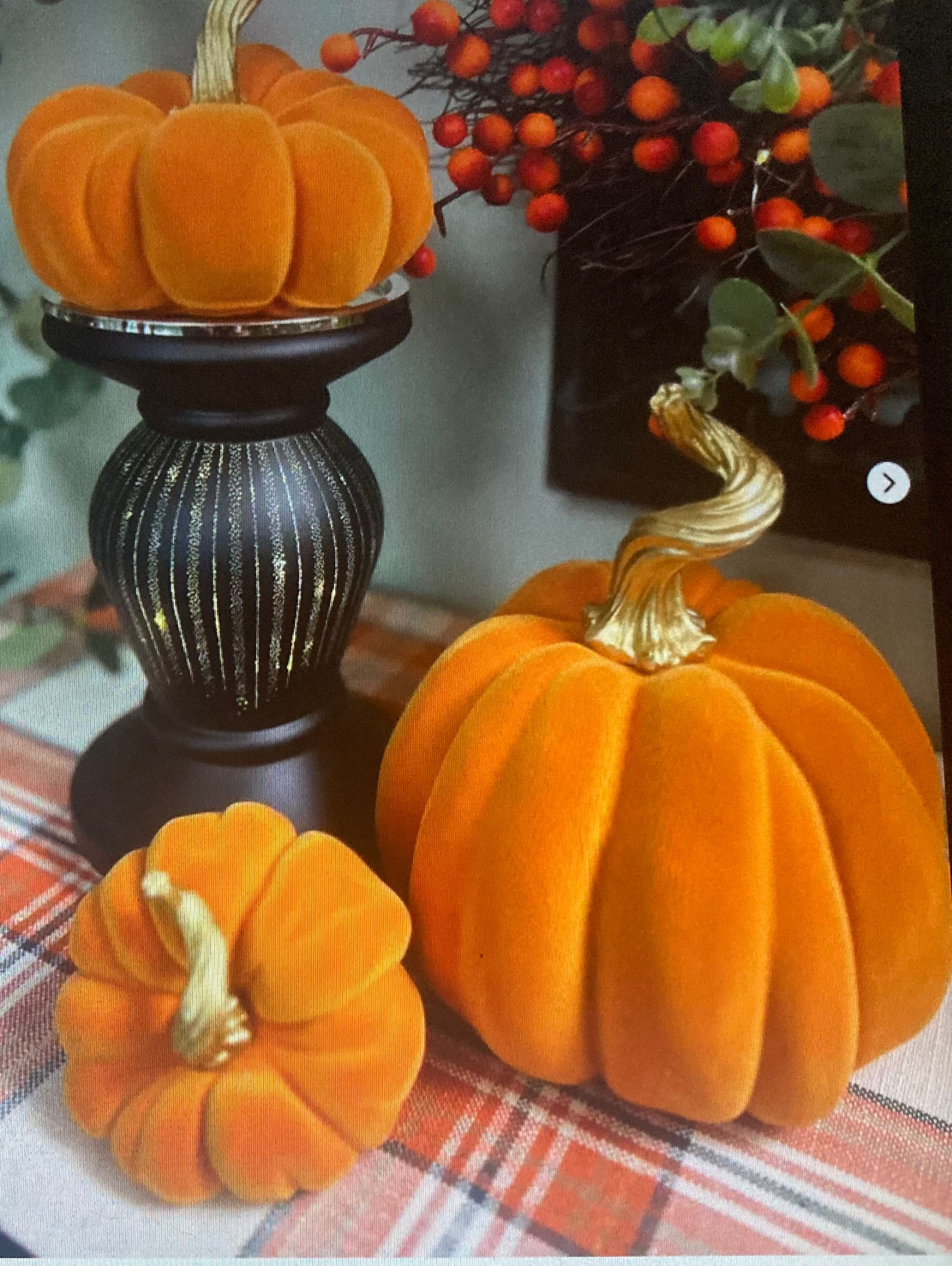 VPH House to Home - Harvest Edition 8/24 (Photos) - Blogs & Forums